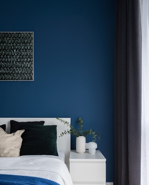 Flat Emulsion Paint – Ridex Paints